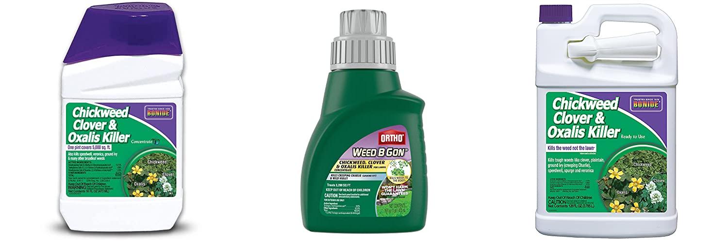 Top 5 Clover Killer For Lawns: Your Best Guide