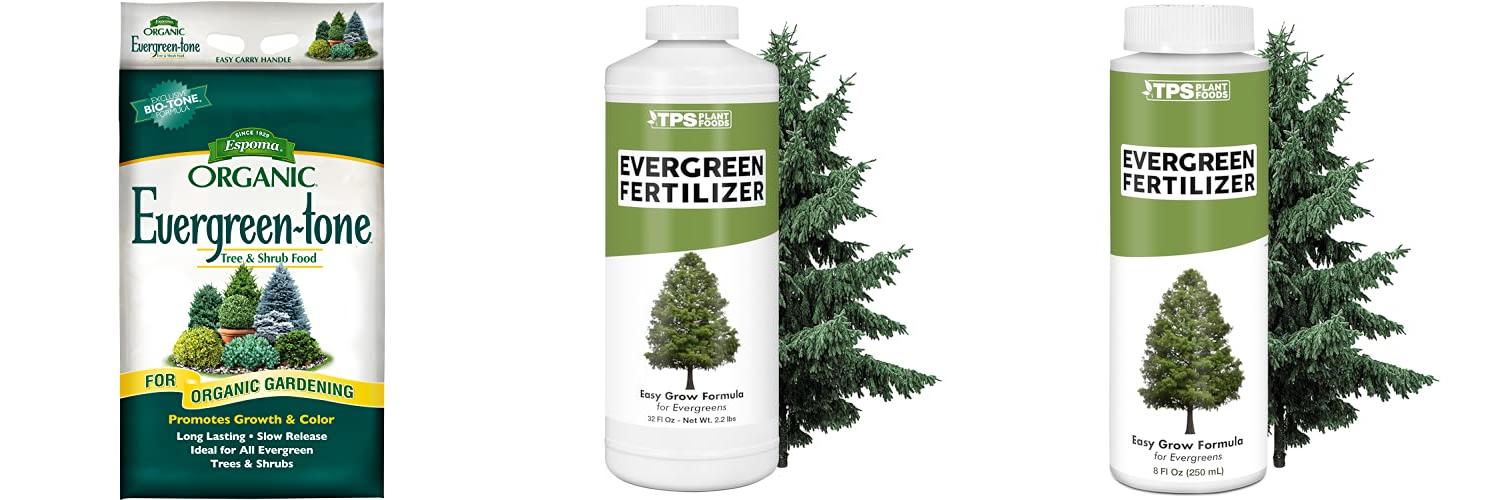 Top 5 Conifer Fertilizers: Your Essential Guide