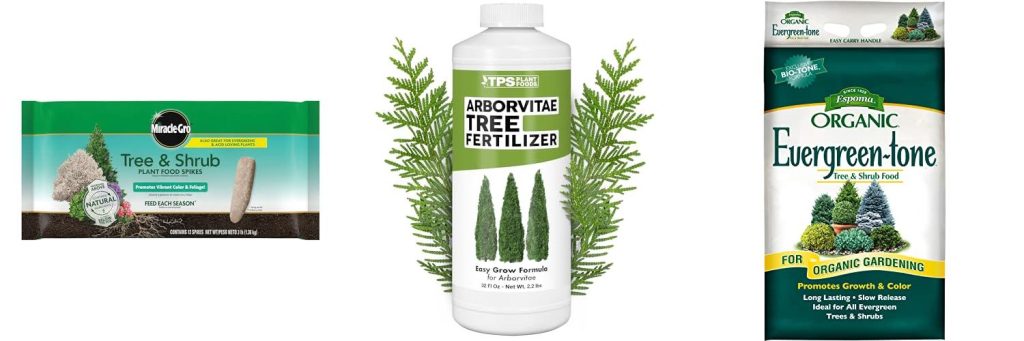 Top 5 Fertilizers: Evergreen Trees & Shrubs Reviewed