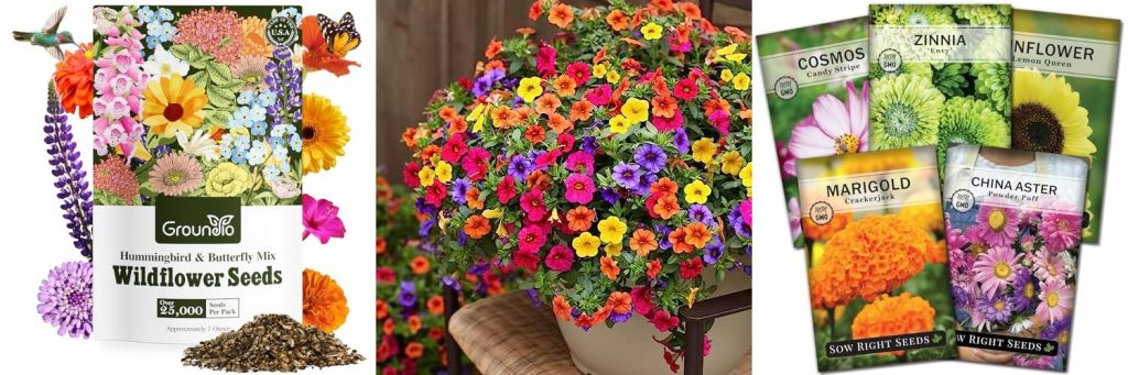 Top 5 Spring Flower Seeds: Your Planting Guide