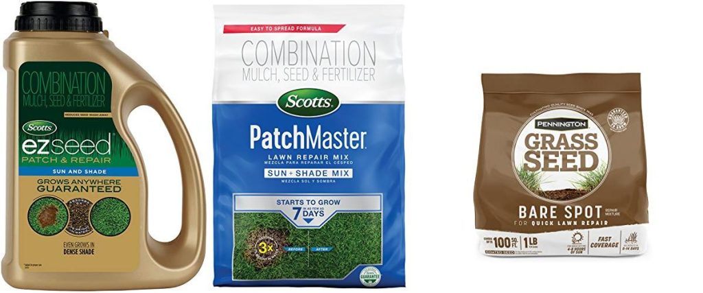 Best Grass Seed for Lawn Repair: A Top 5 Guide