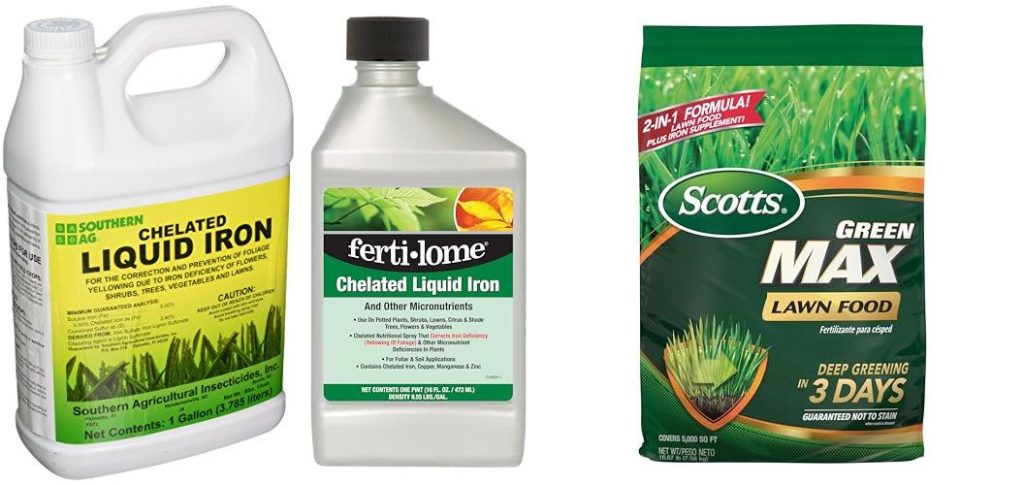 Top 5 Iron Fertilizers: Boost Your Plants Now