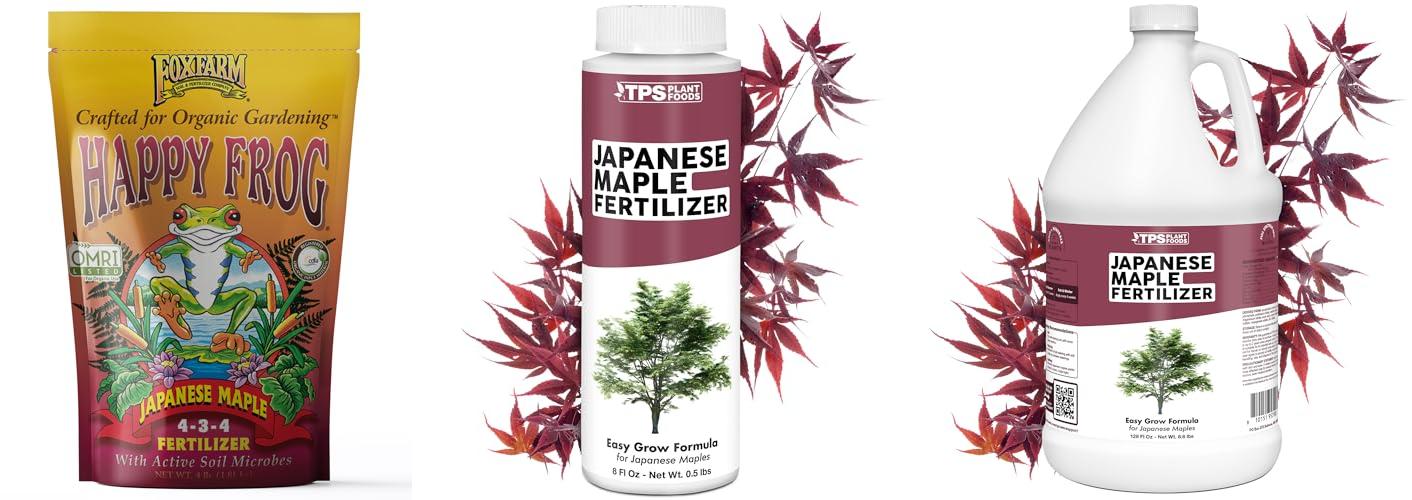 Top 5 Japanese Maple Fertilizers: Your Best Choice