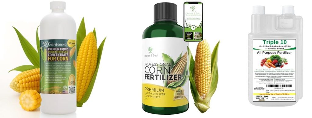 Top 5 Liquid Fertilizers For Sweet Corn Growth