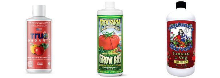 Best Liquid Organic Fertilizer: Our Top 5 Picks