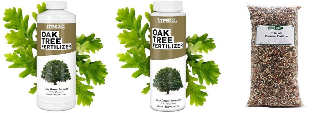 Best Oak Tree Fertilizer - Top 5 Picks & Review