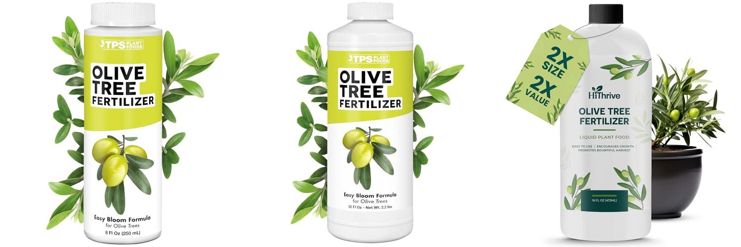 Top 5 Olive Tree Fertilizers: Your Growing Guide